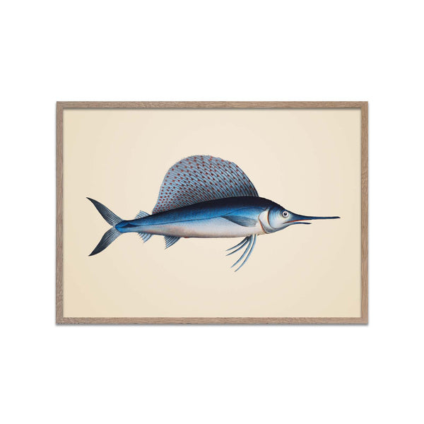 Ola-Fish – Paper Ministry