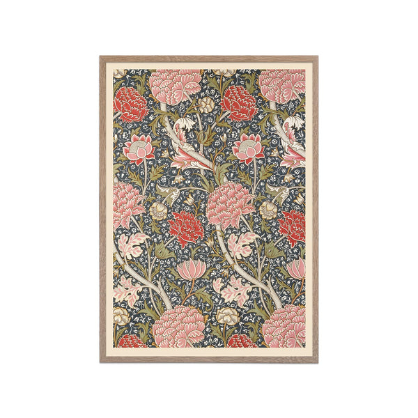 Cray – Paper Ministry