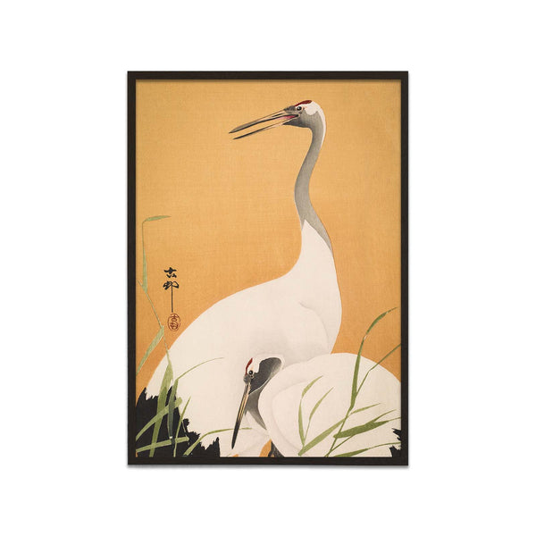 Two White Cranes – Paper Ministry